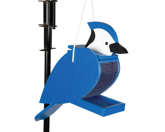 Blue Jay Poly Bird Feeder | Green Acres Outdoor Living